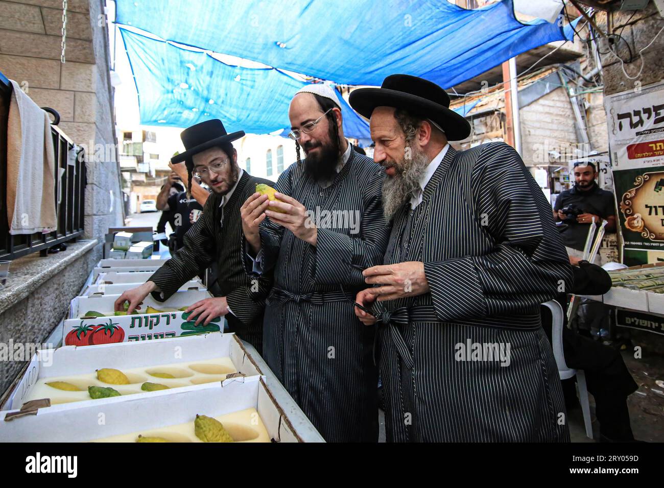 Orthodox Jewish men inspect an Etrog fruit, or a citron, used to ...