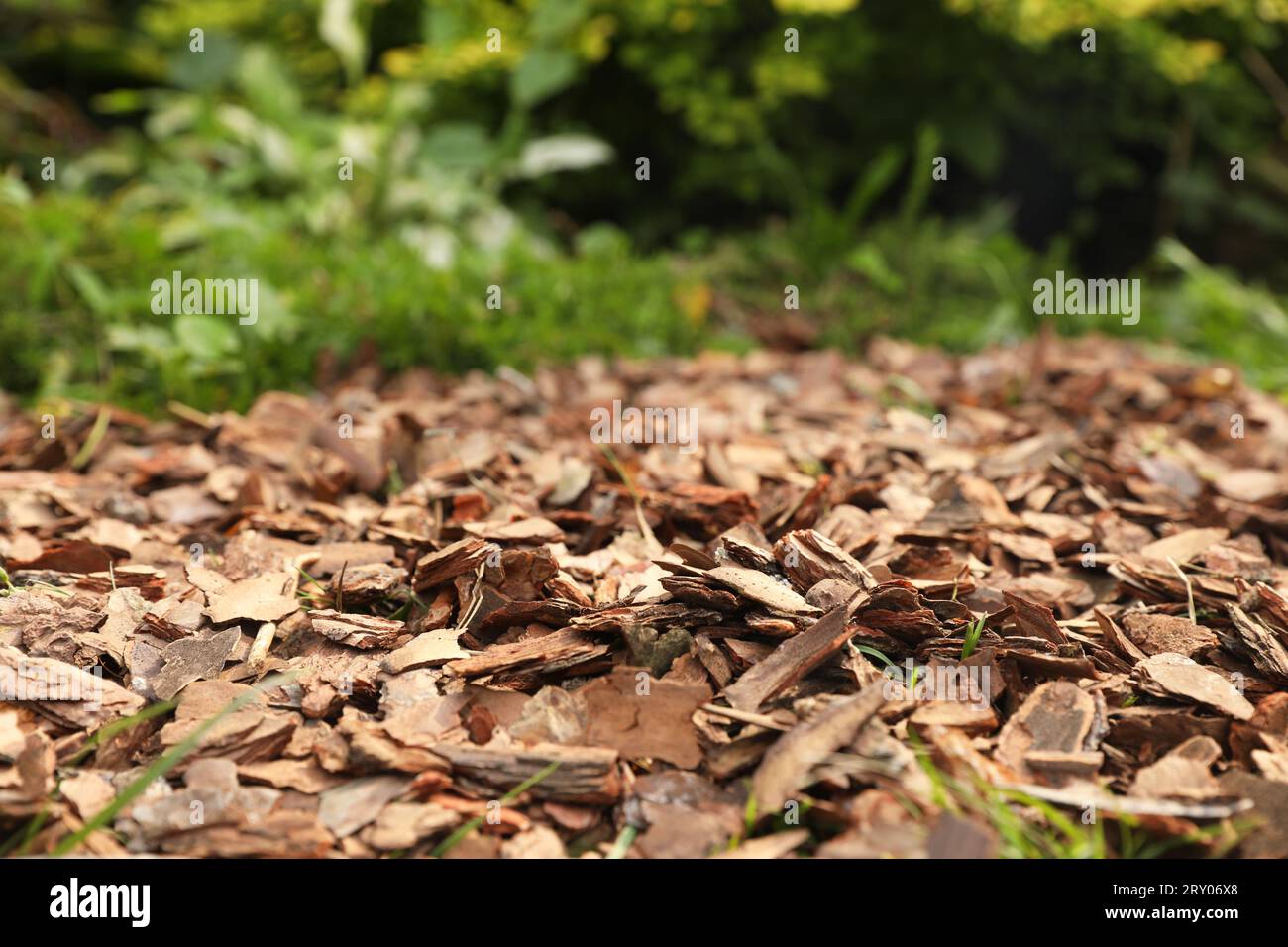 Mulched soil hi-res stock photography and images - Alamy