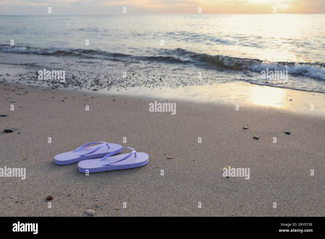 Stylish lilac flip flops on sand near sea. Space for text Stock Photo ...