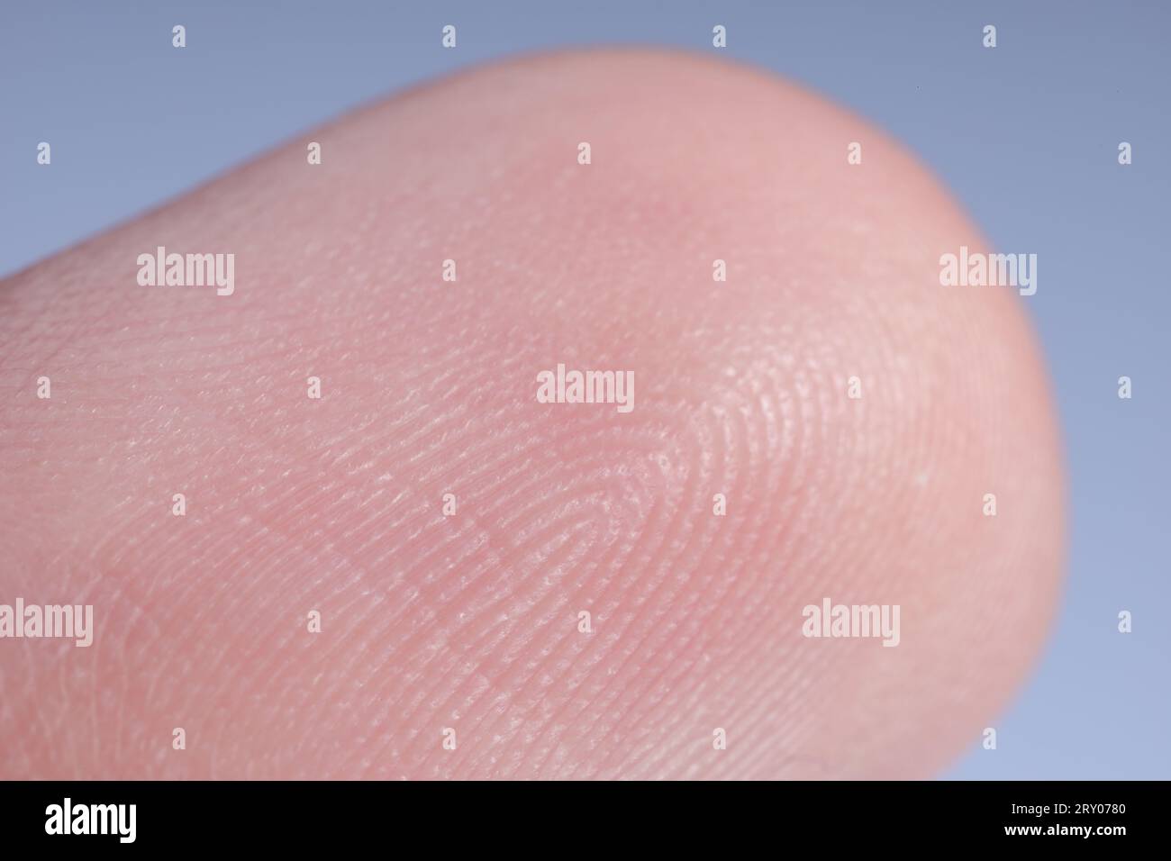 Finger with friction ridges on light blue background, macro view Stock ...