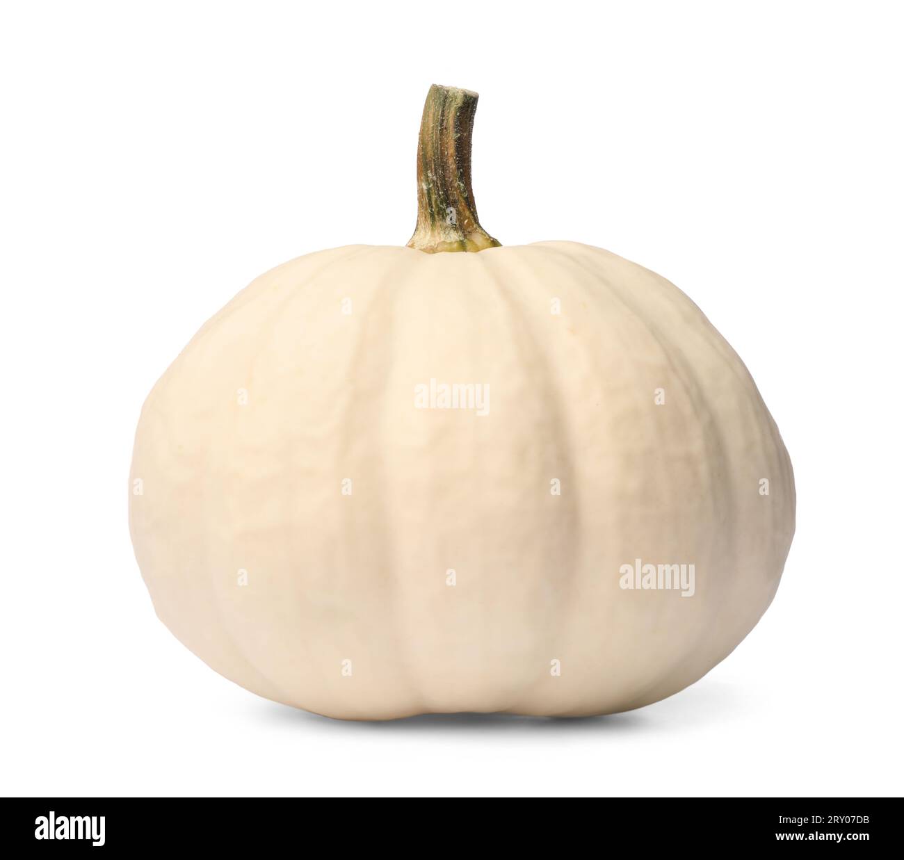 Beige pumpkin hi-res stock photography and images - Alamy
