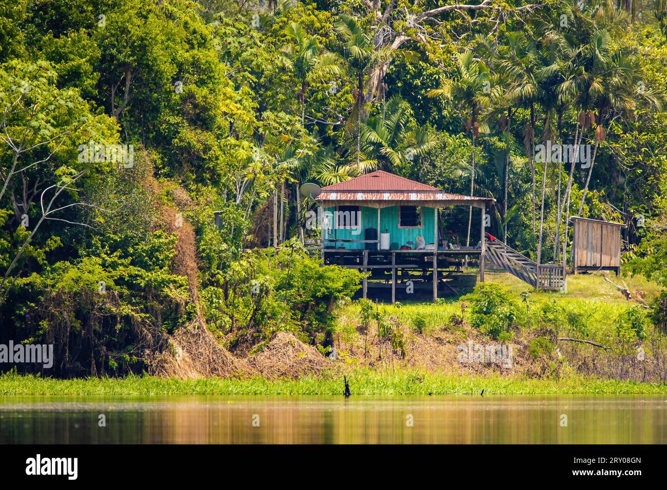 Isolated house in the jungle of amazon tropical rainforest river Stock ...