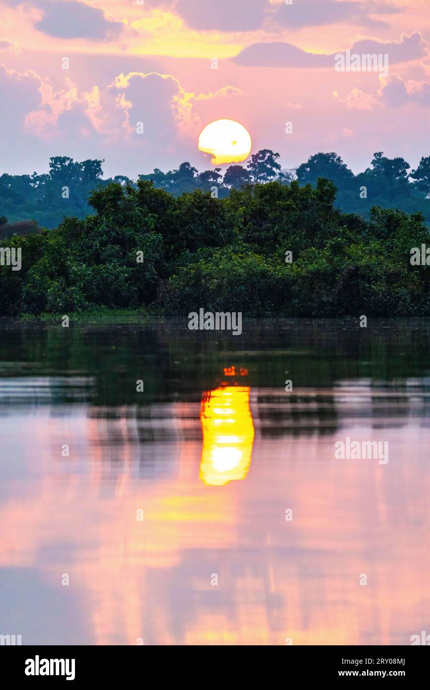 Scenic colorful sunset at tropical river rainforest in the jungle Stock ...