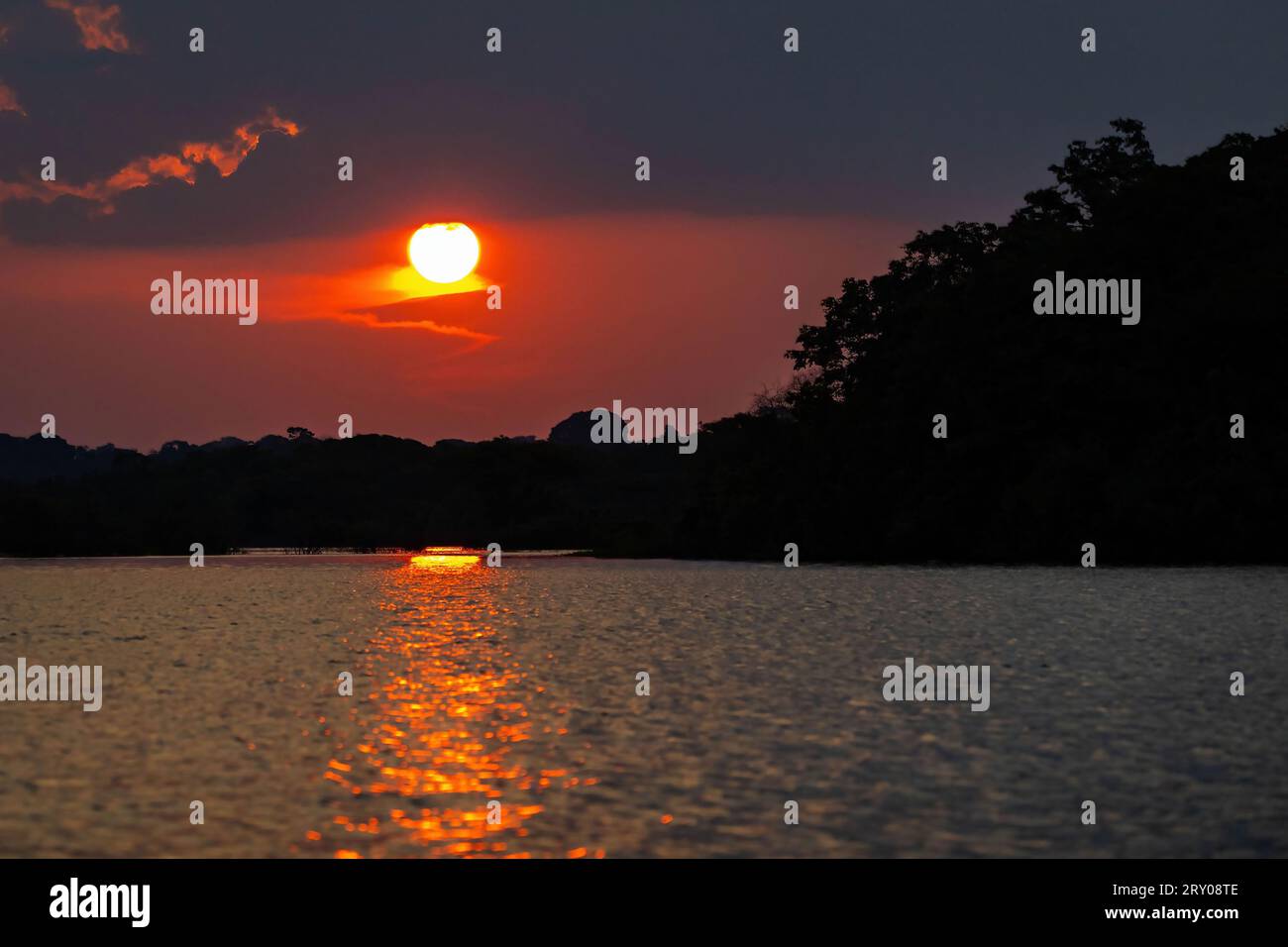 Scenic colorful sunset at tropical river rainforest in the jungle Stock ...