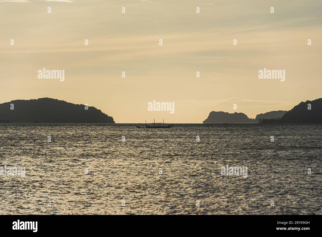 El nido forest hi-res stock photography and images - Alamy