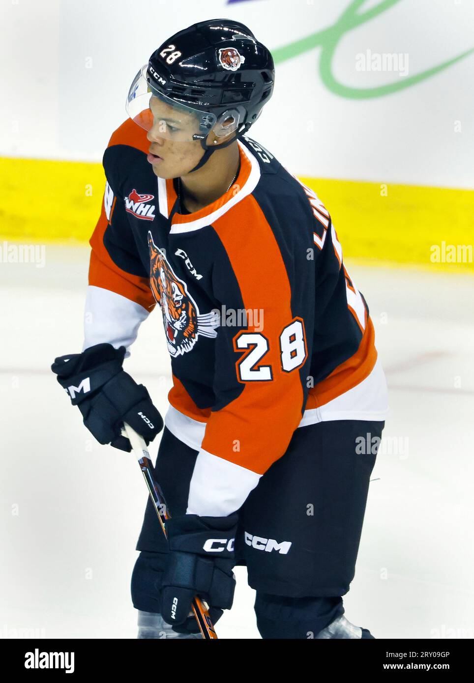 Medicine Hat Tigers player Cayden Lindstrom during a WHL (Western ...