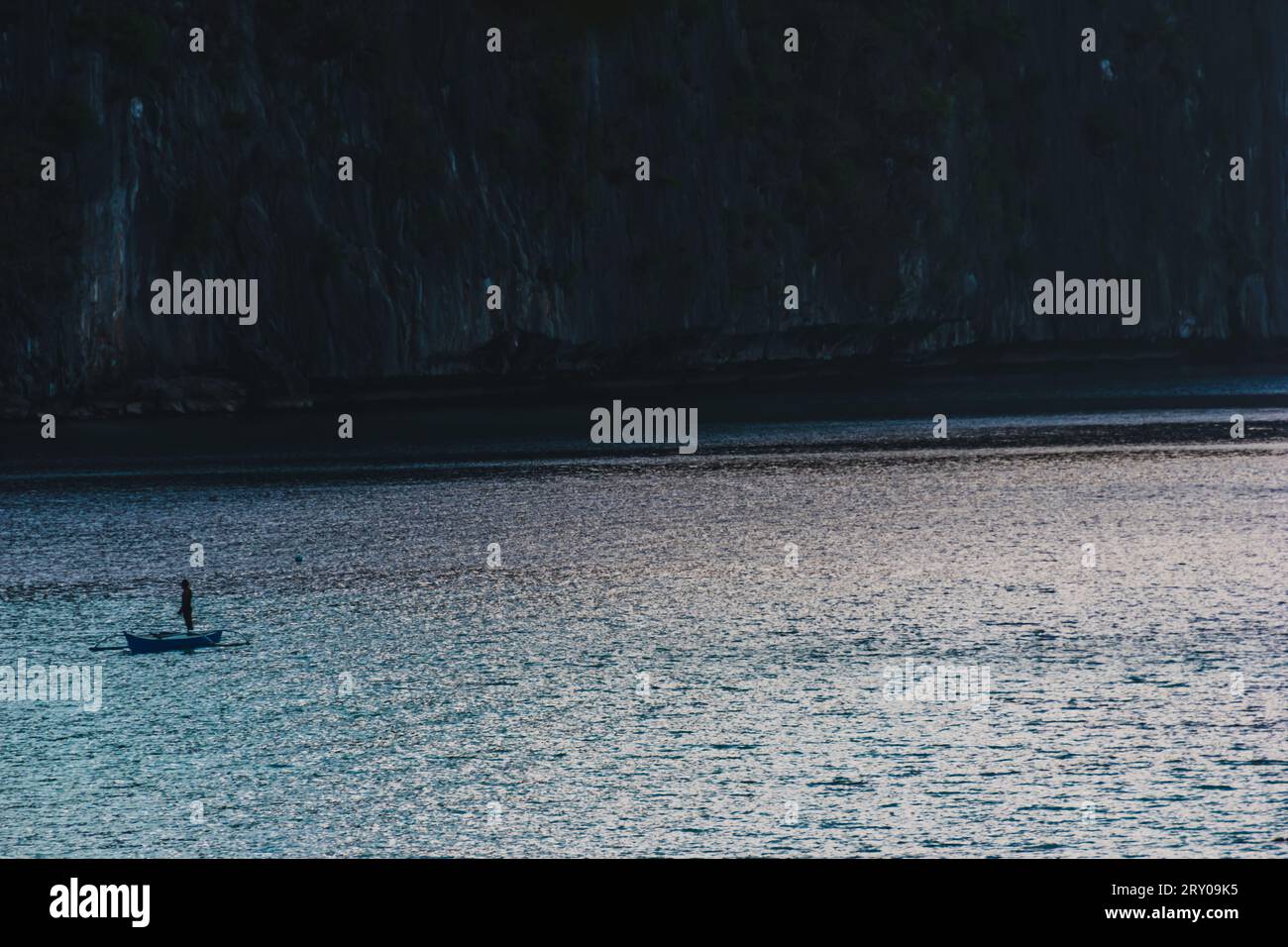 El nido forest hi-res stock photography and images - Alamy