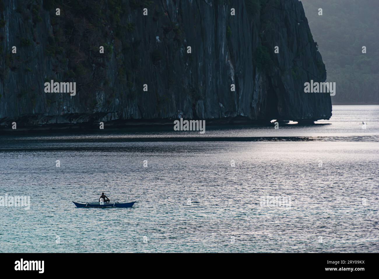 El nido forest hi-res stock photography and images - Alamy