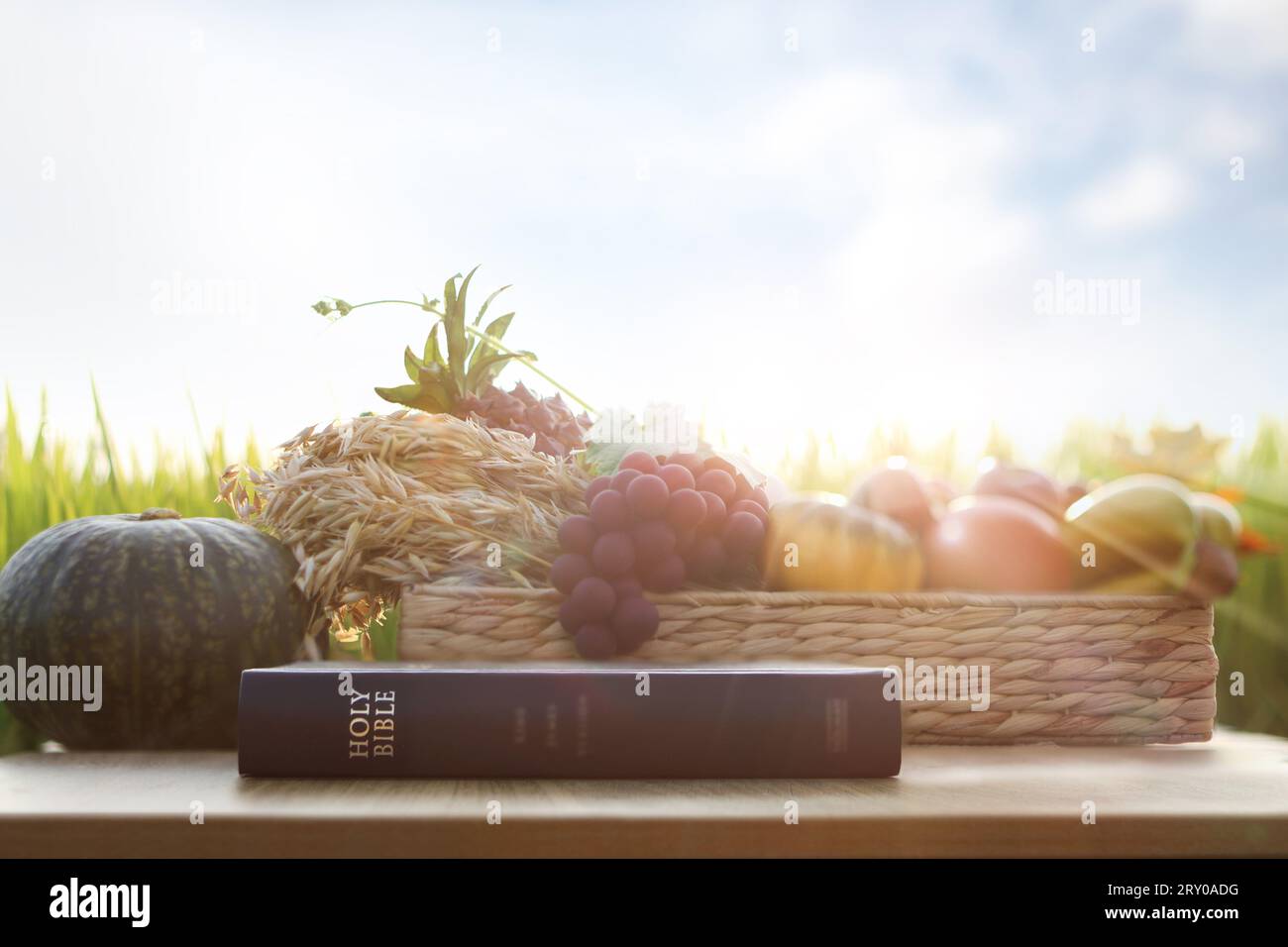 Church Thanksgiving fruit decoration, Bible book and harvest season ...