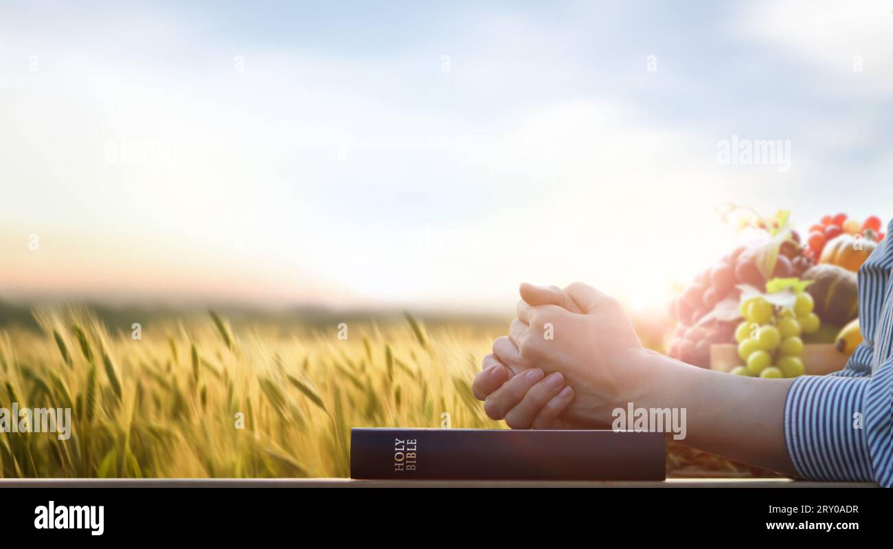 Abundant crops and fruits in a barley field, a praying Christian and a ...