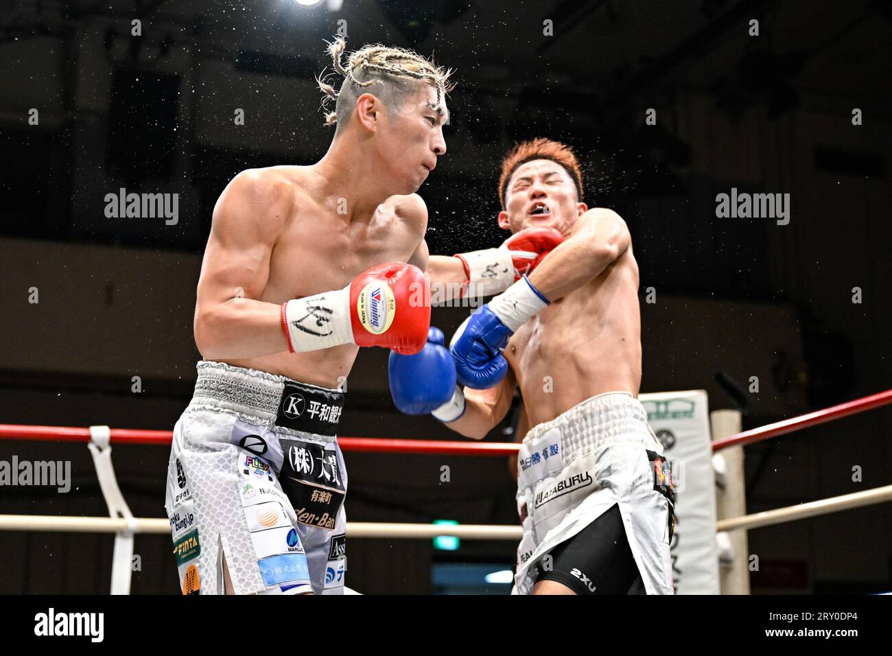 Suzumi Takayama (red gloves) hits Tsubasa Murachi (blue gloves) in the ...