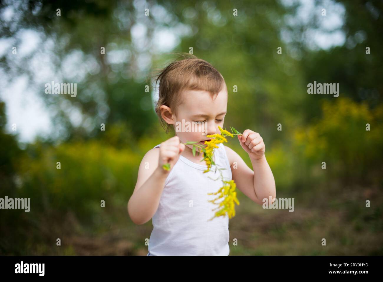 small child with allergies during fall allergy season Stock Photo - Alamy