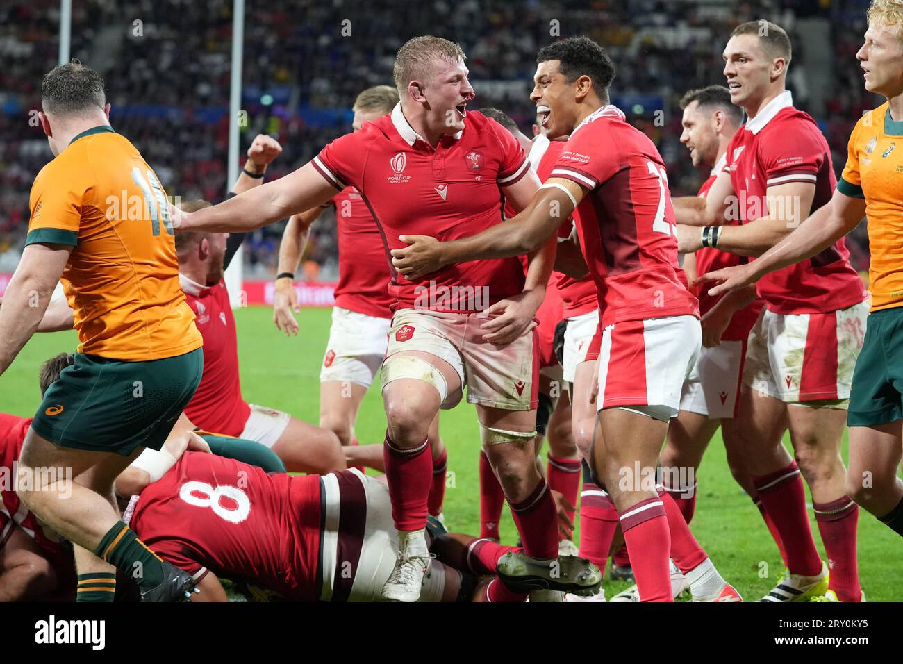 Parc olympique lyonnais hi-res stock photography and images - Alamy