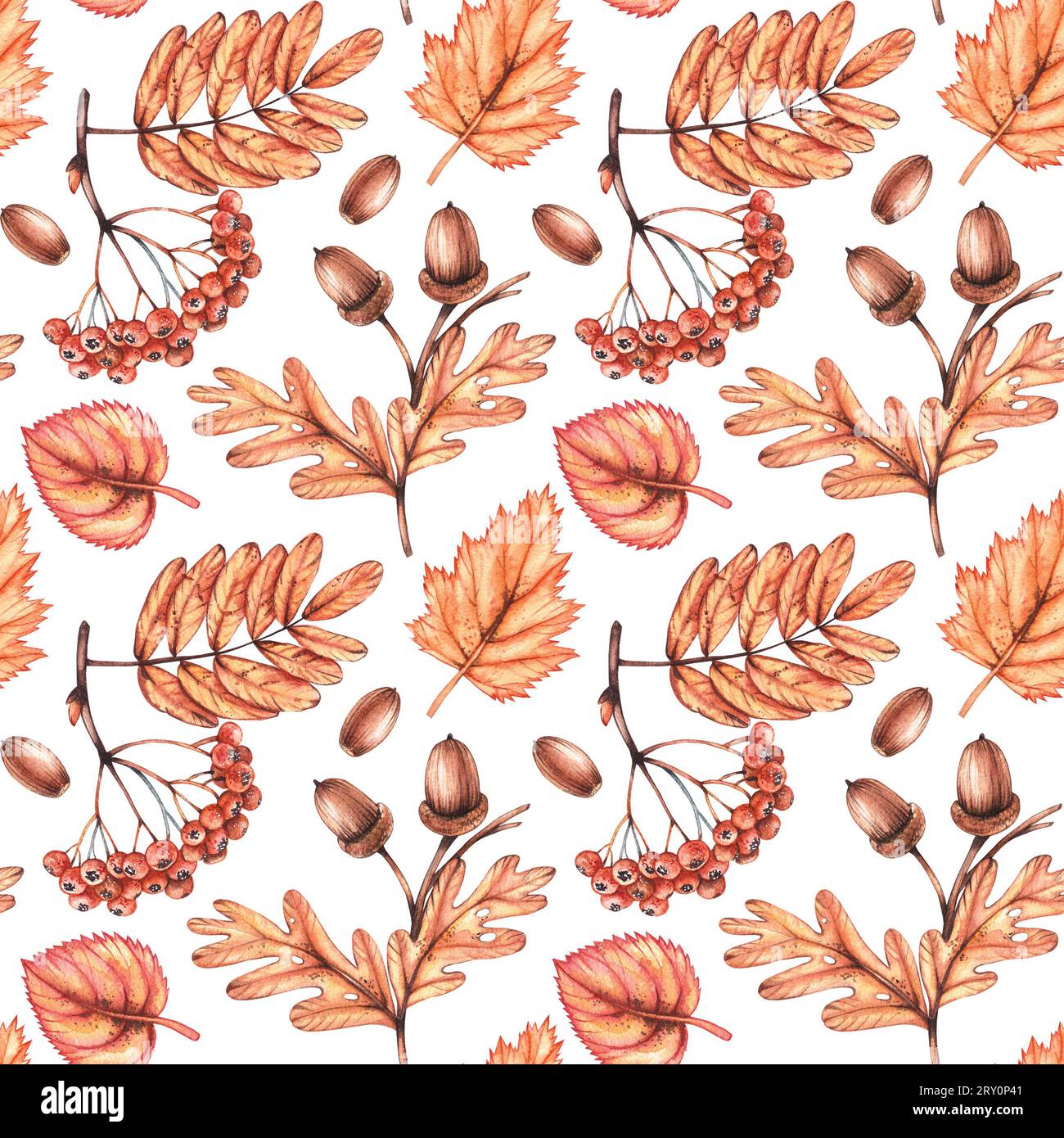 Watercolor autumn pattern Hand drawn. Pattern with autumn plants for ...