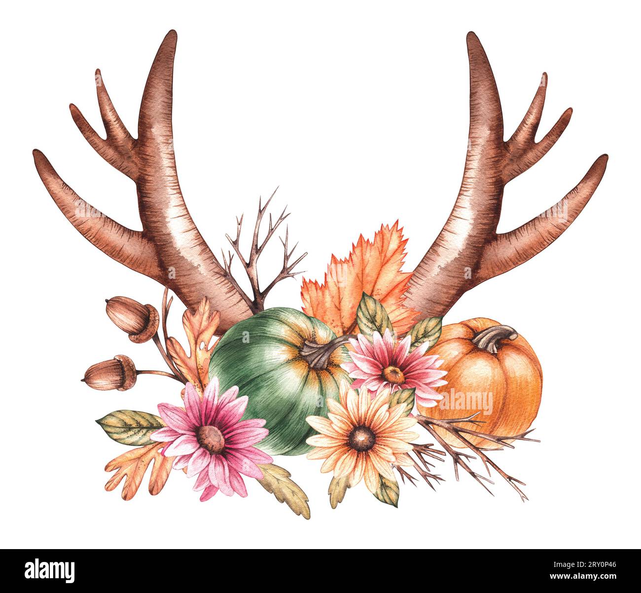 Watercolor horns with a bouquet of autumn plants. Hand-drawn horns with ...
