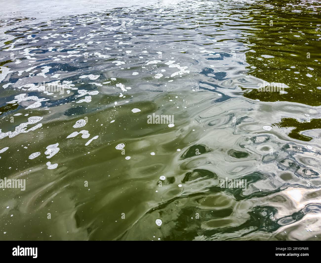 uncontrolled water pollution of river. waste water with toxic bubbles ...