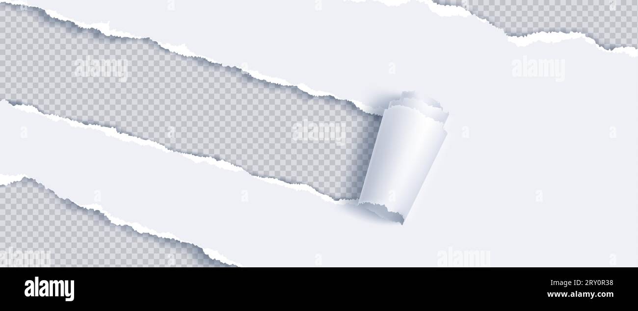 Torn paper white edge txture with curl border background. Rip strip ...