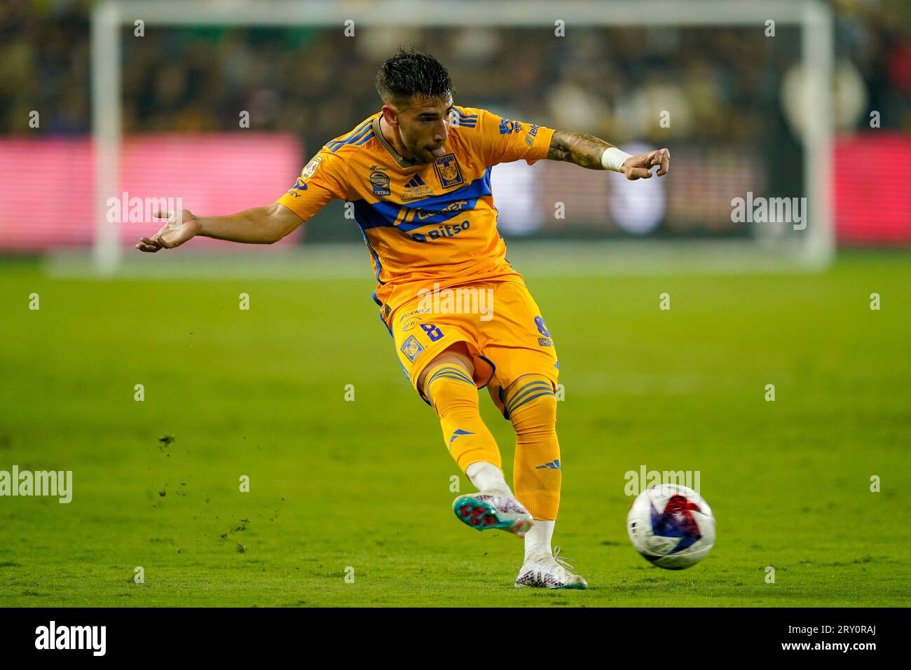Los Tigres Soccer