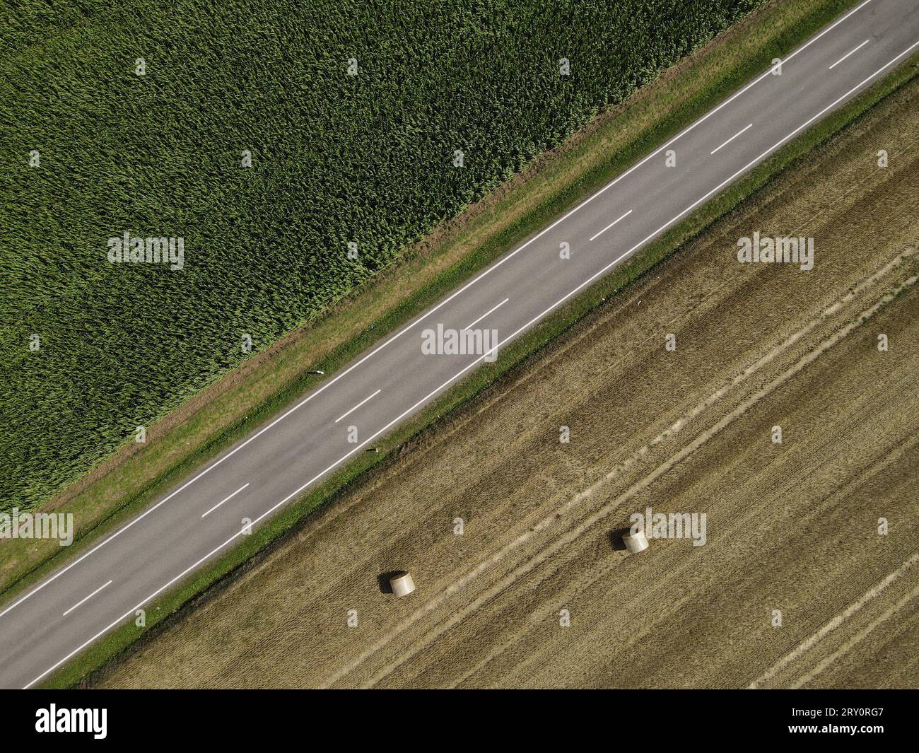 View from above of a road in the landscape between a corn field and a ...