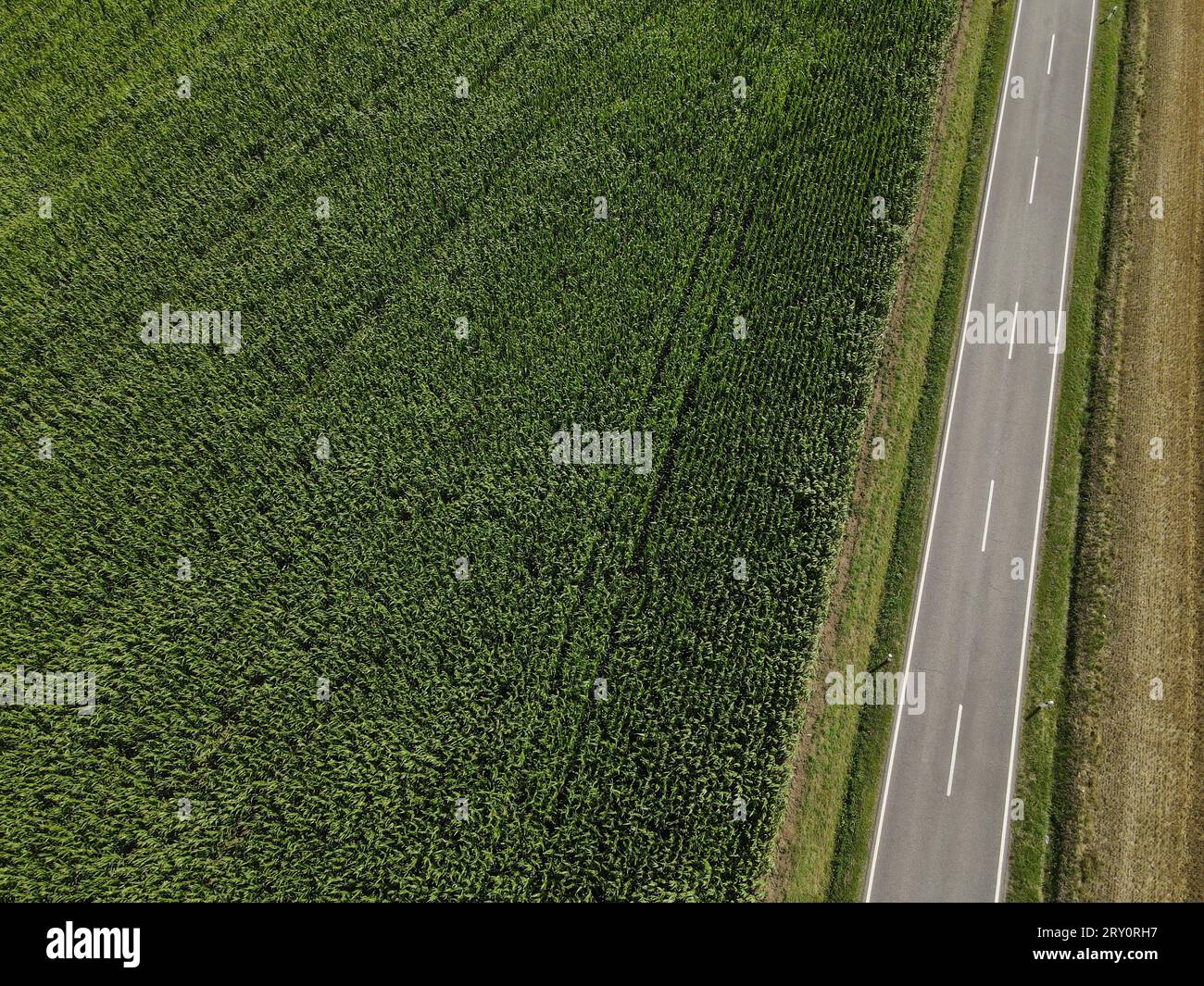 Road between agriculture fields in the landscape from above Stock Photo ...