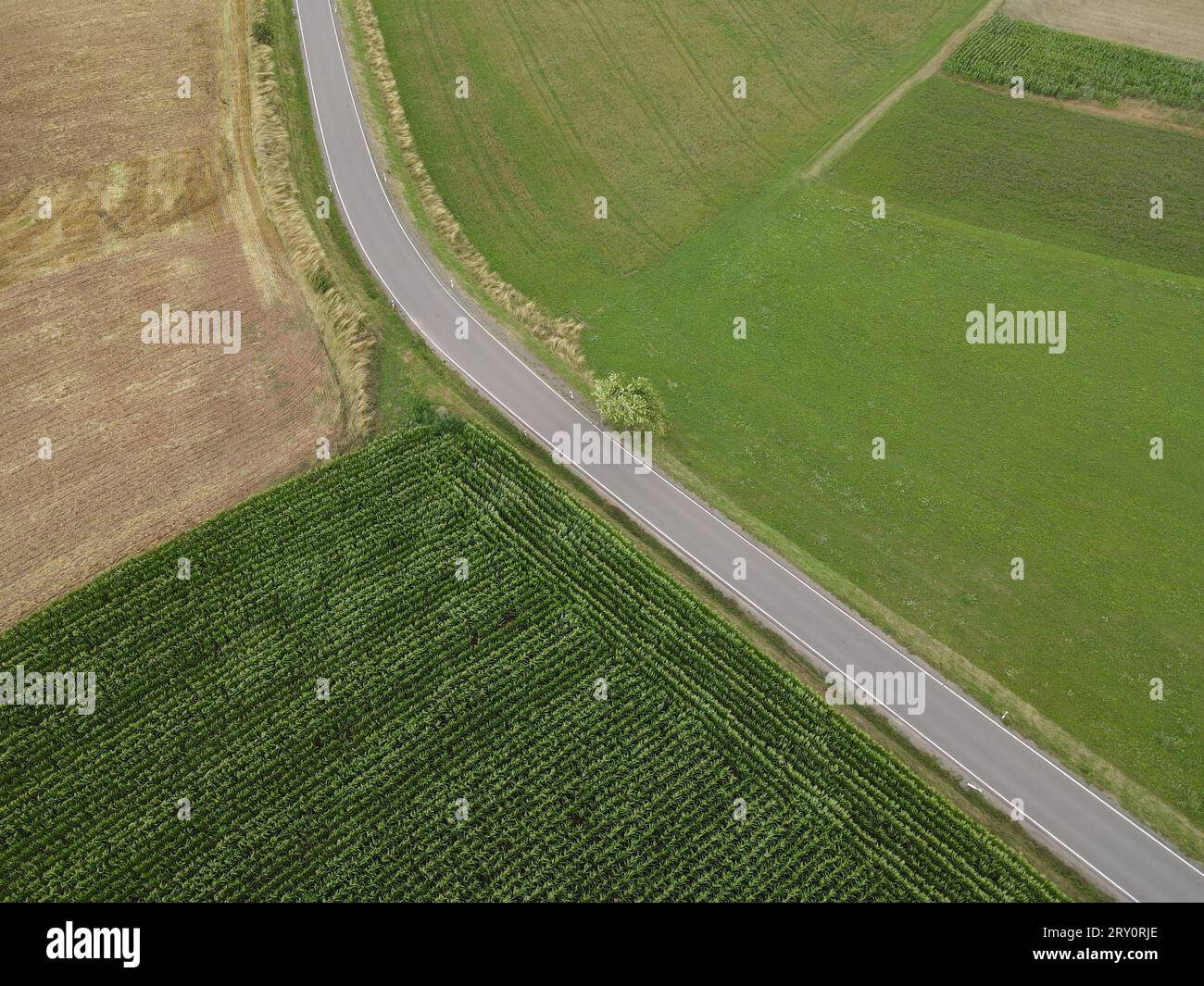 Road between agriculture fields in the landscape from above Stock Photo ...