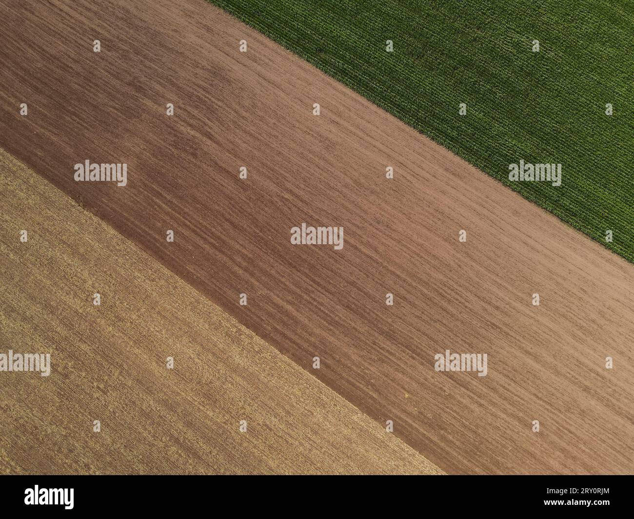 Empty crop rows hi-res stock photography and images - Alamy