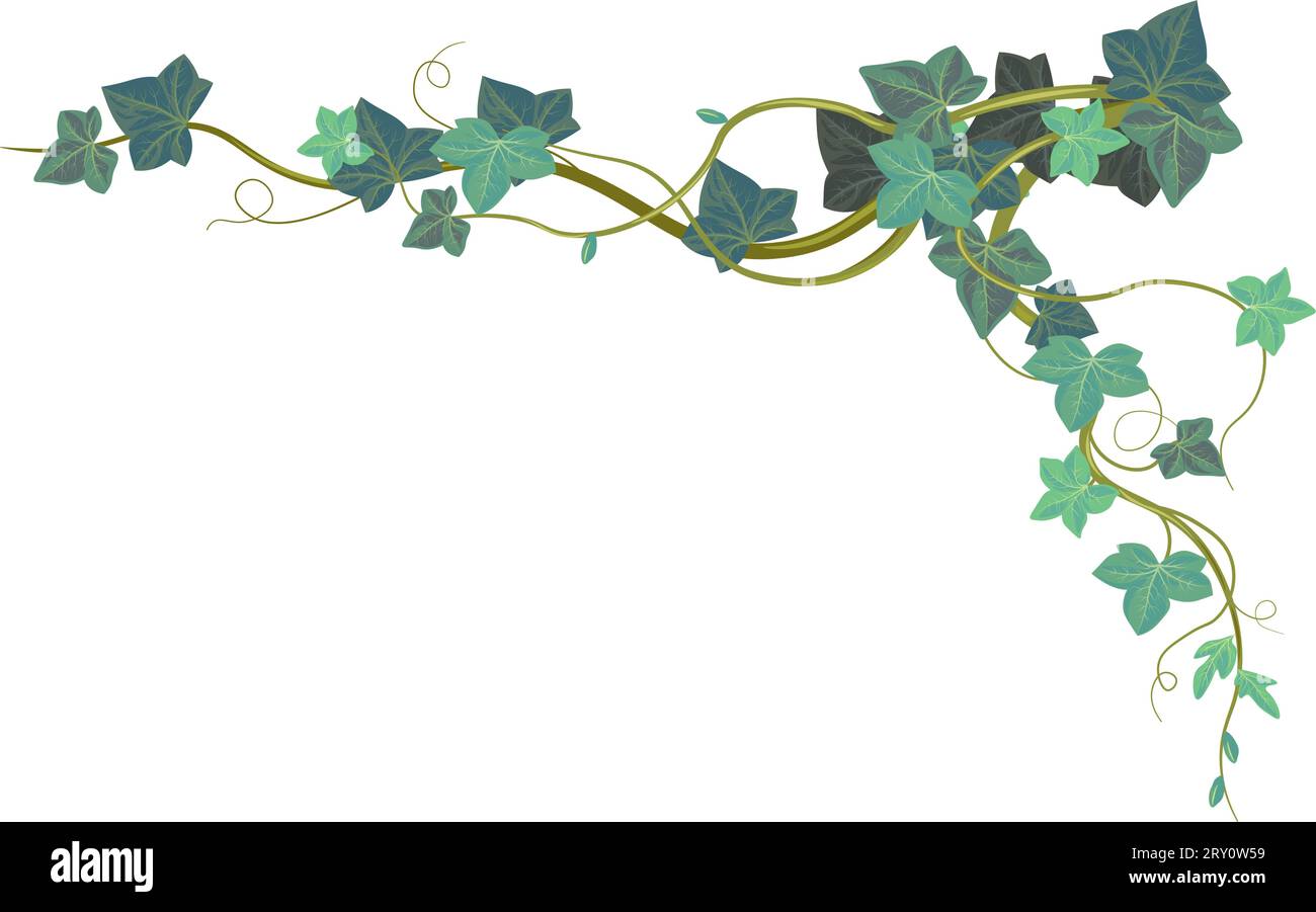 Twining plant Stock Vector Images - Alamy