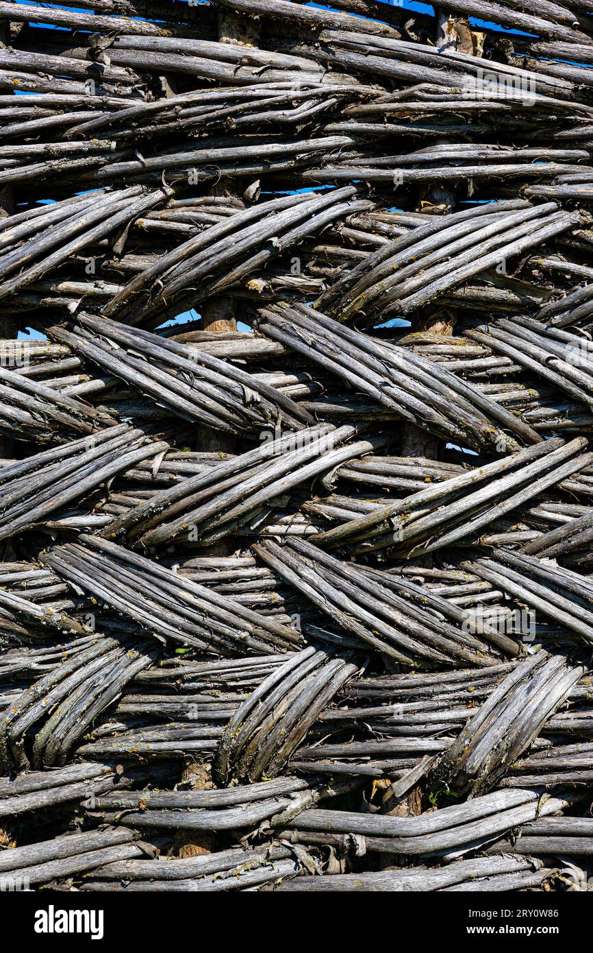 vertical background in the form of a fence woven from branches Stock ...