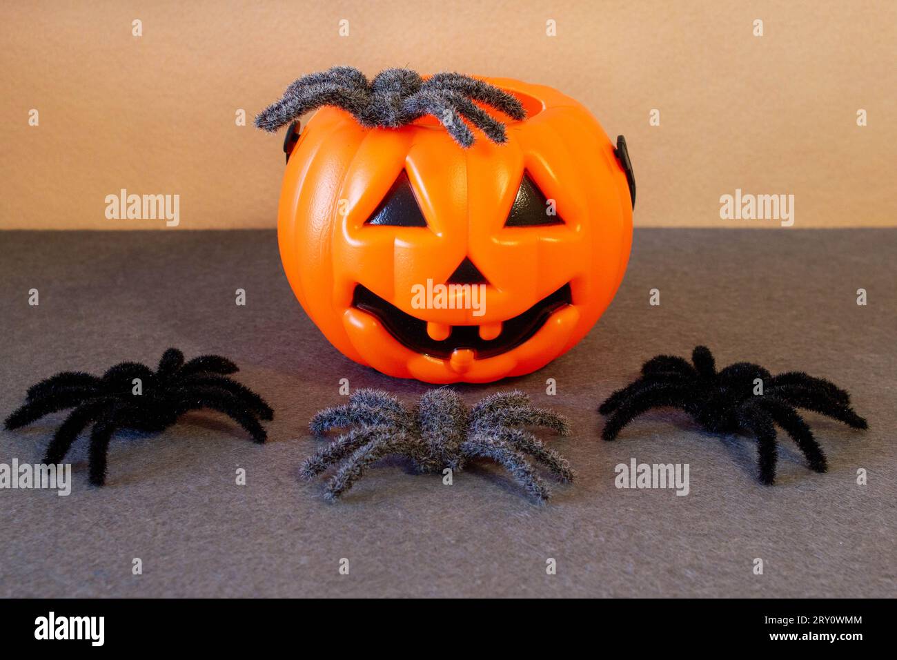 Pumpkins and spiders celebrating trick or treat on Halloween day. Jack ...