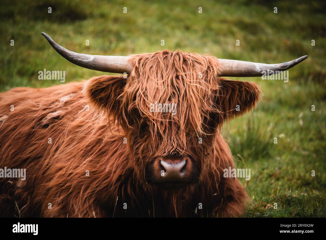 Faroe turism hi-res stock photography and images - Alamy
