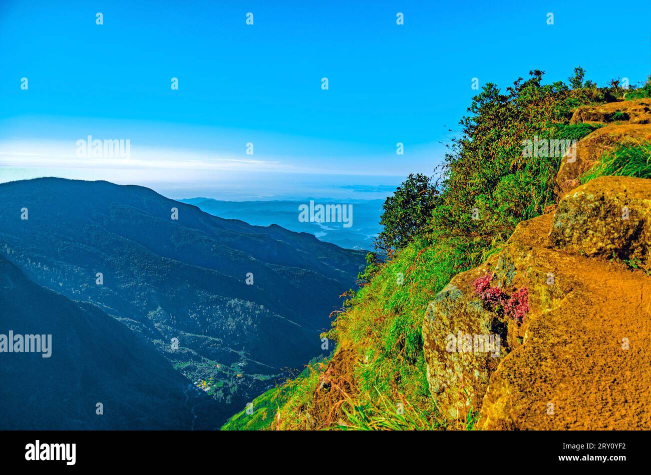 Horton Plains National Park. Big world`s end. Sri Lanka (Ceylon Stock ...