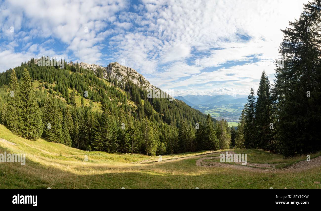 scenic Allgau landscape with green meadows and green forest in the ...