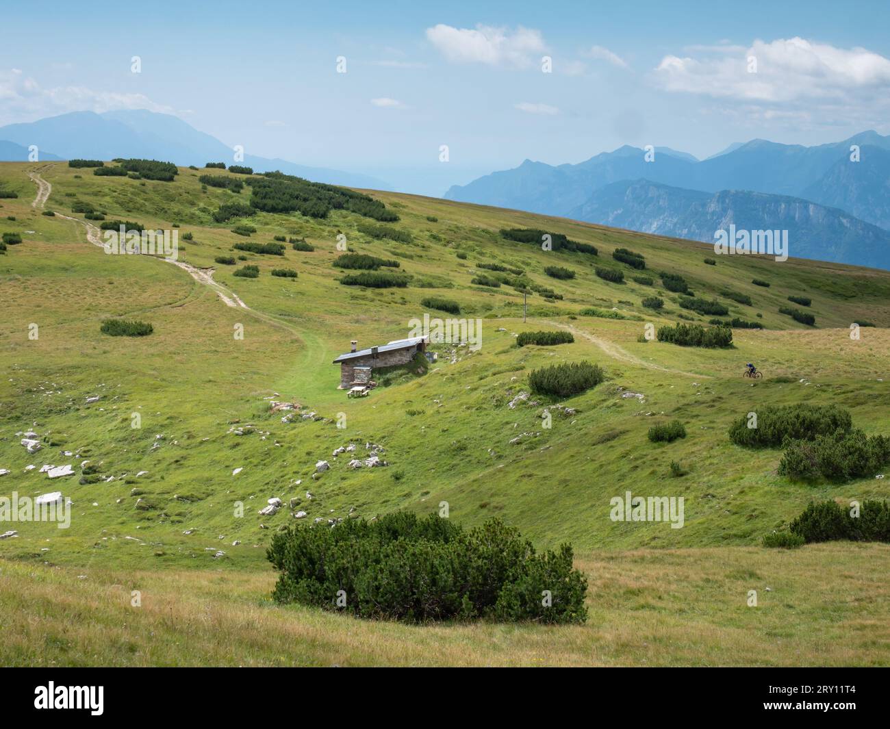 Summer meadow close to peak of Gazza mountain above Andalo town. Summer ...