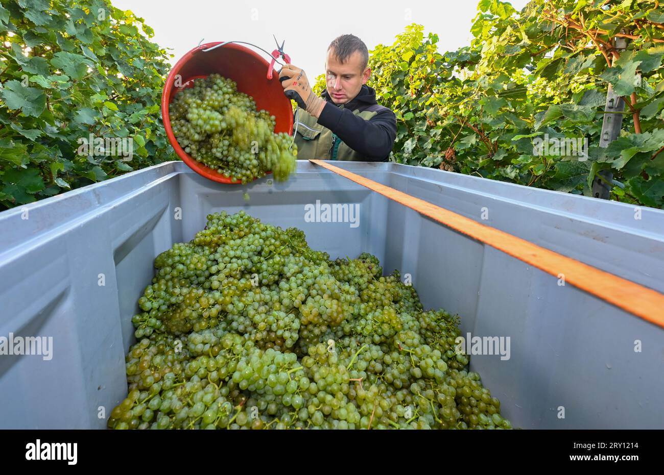 Increased a container hi-res stock photography and images - Alamy