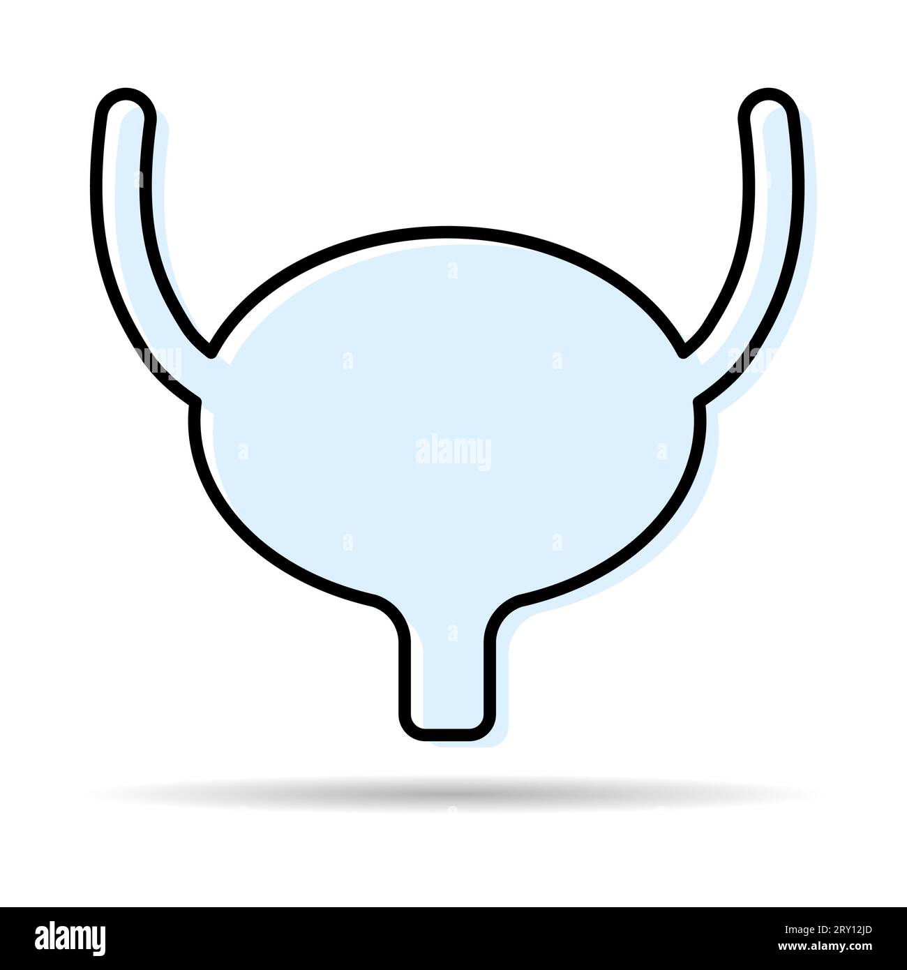 Urology health human icon shadow, anatomy medical body bladder sign ...