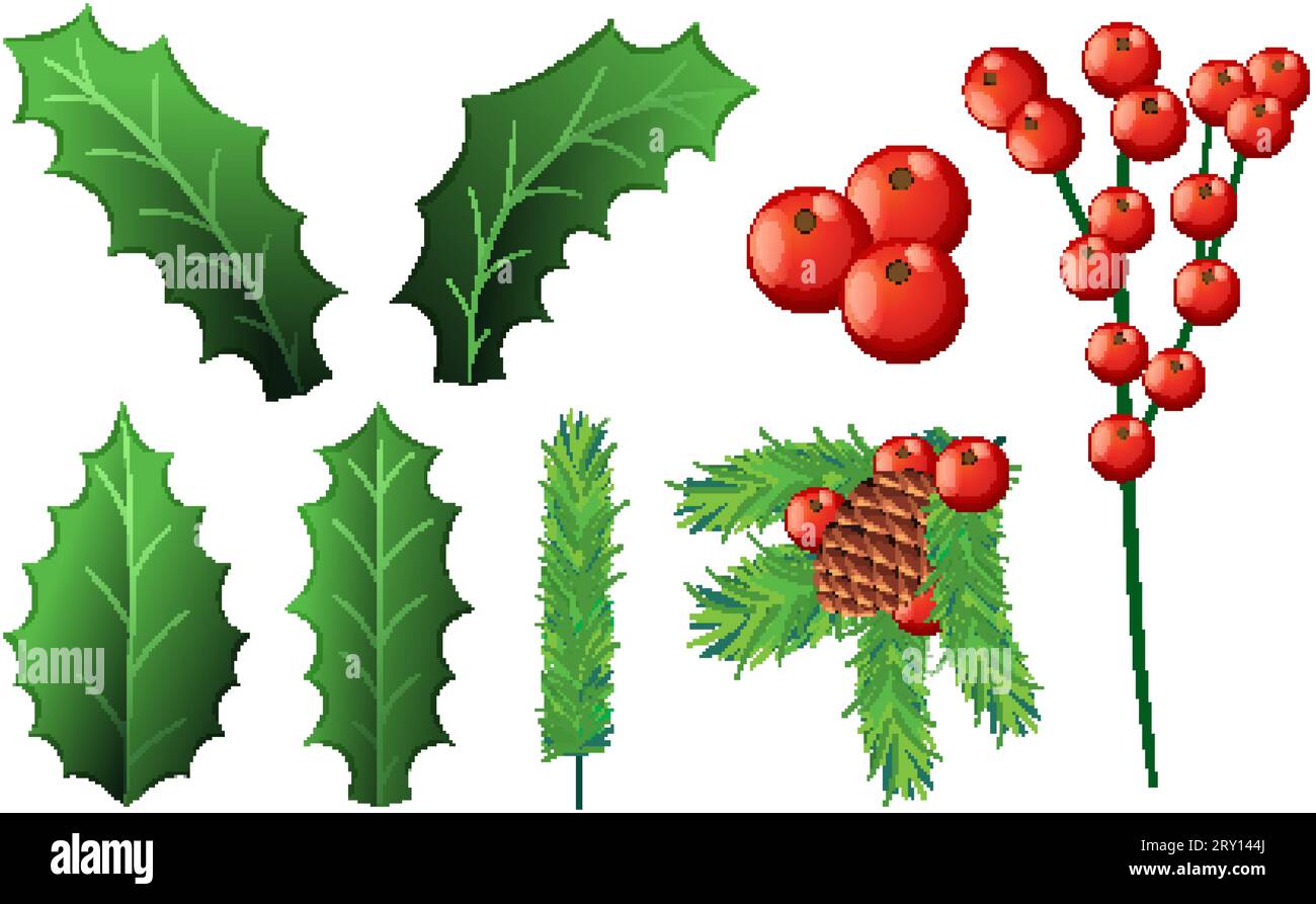 A festive collection of holly plants for Christmas decorations Stock ...