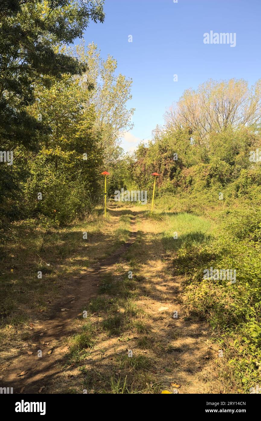Dirt path with two poles at its edge in a park on a sunny day in the ...