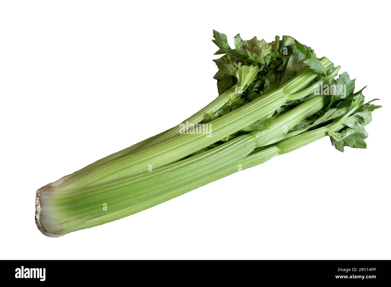 Green smoothie celery parsley Cut Out Stock Images & Pictures - Alamy