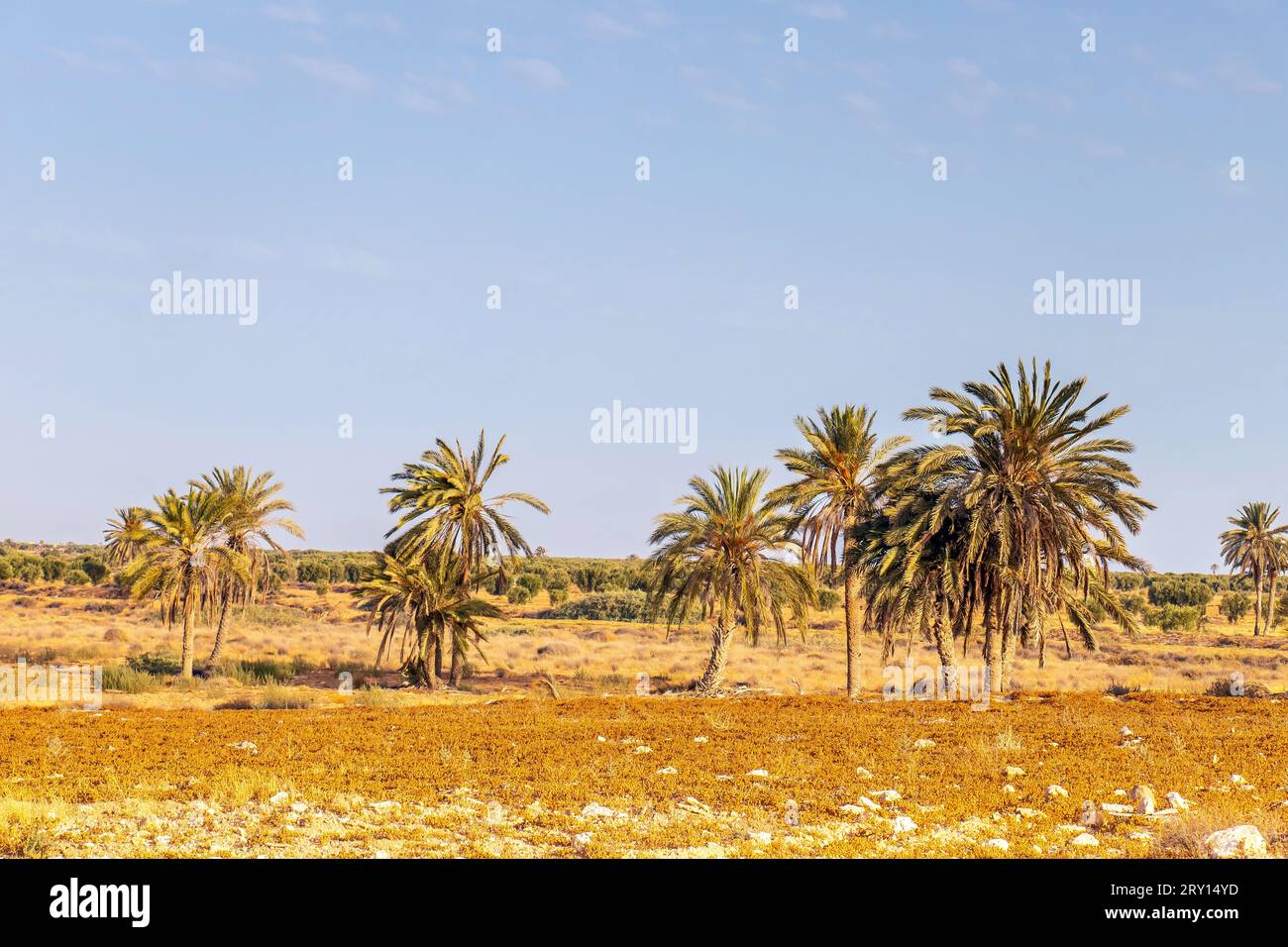 Tunisian terrain hi-res stock photography and images - Alamy