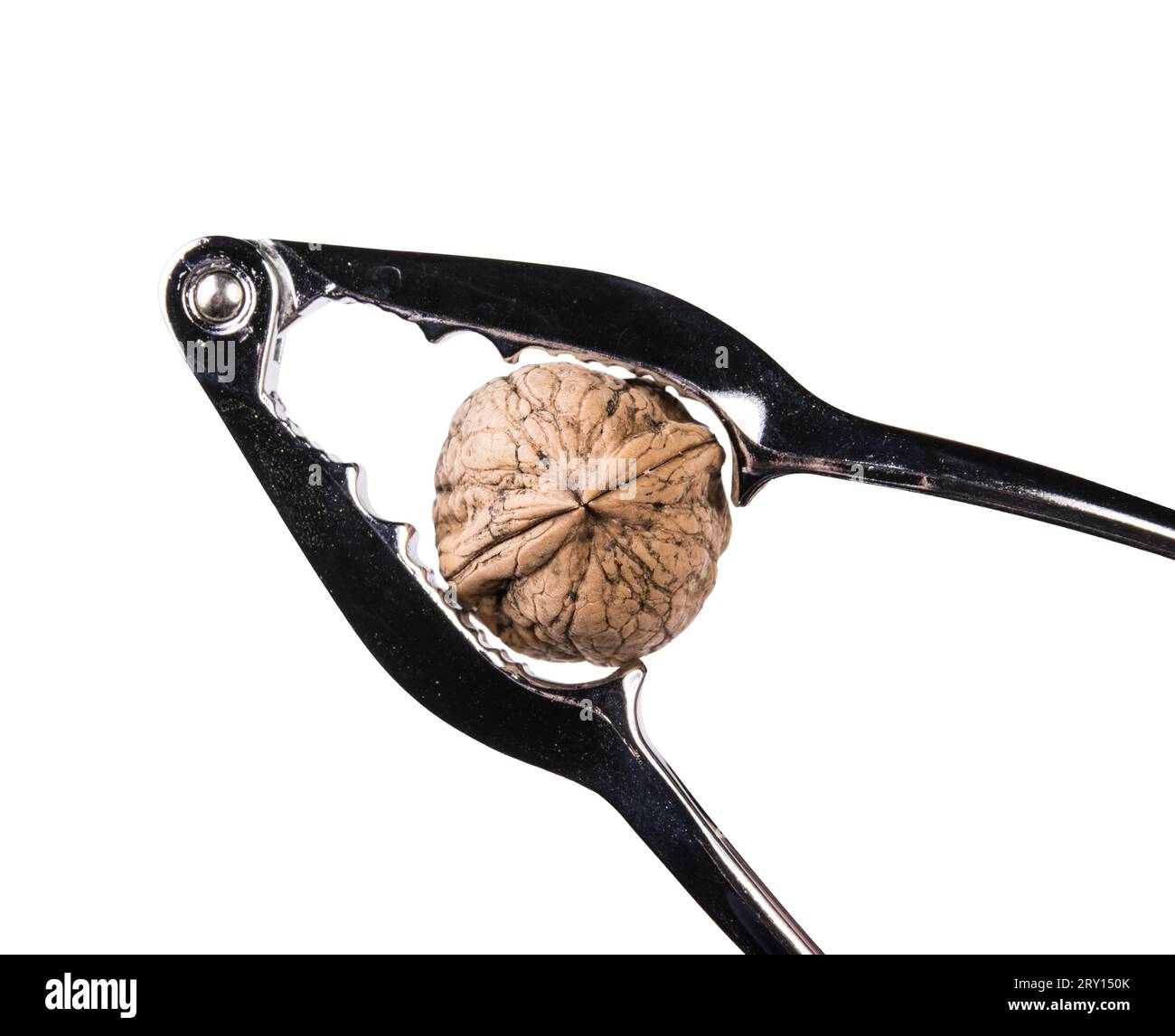 a cracked walnut with a nutcracker on a transparent background Stock ...