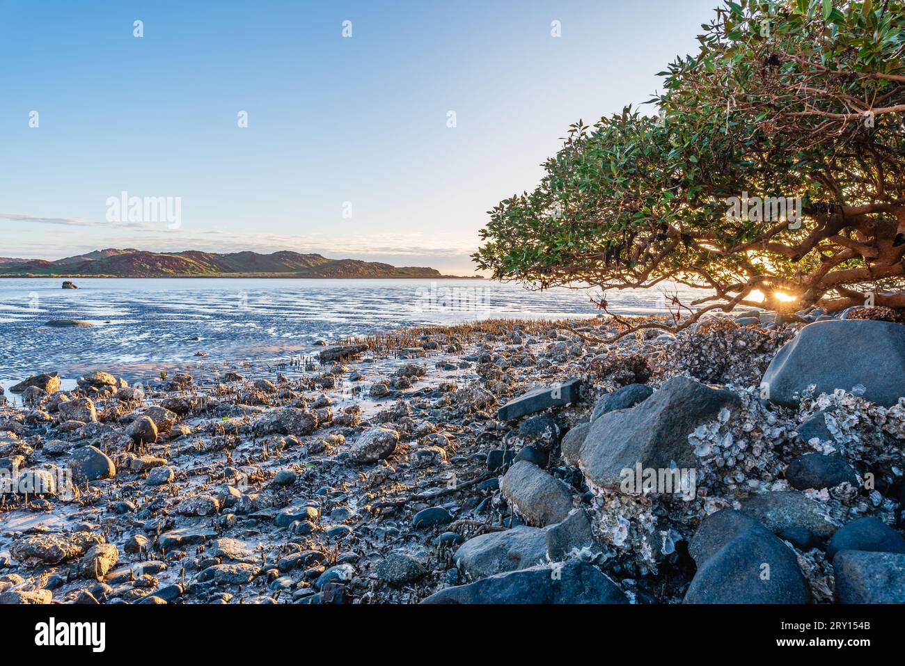 Looking through the mangrove trees at Hearson Cove near Karratha and ...