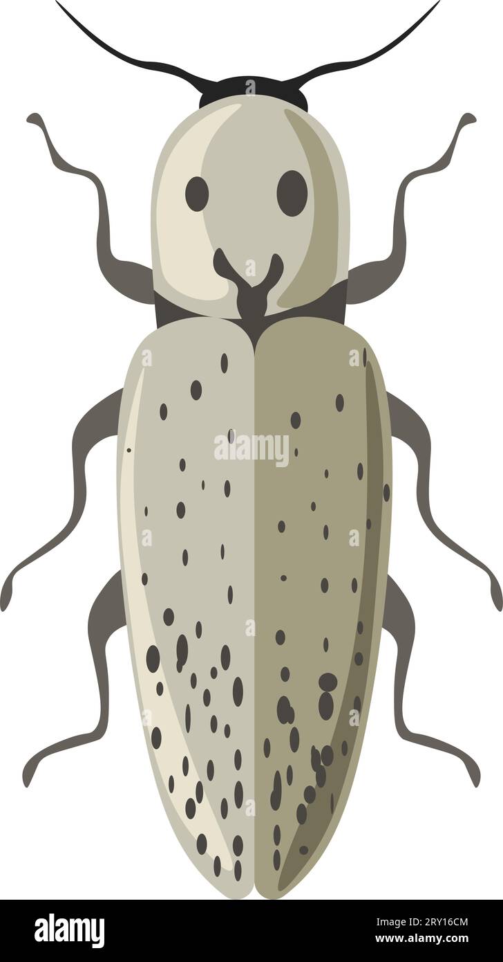 Bug eastern eyed click beetle or elater vector Stock Vector Image & Art ...