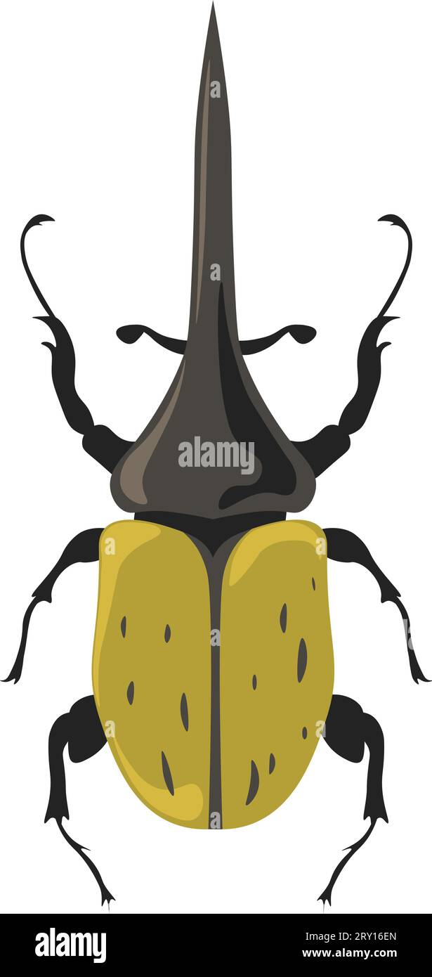 Bug Hercules beetle, Dynastes insects species Stock Vector Image & Art ...