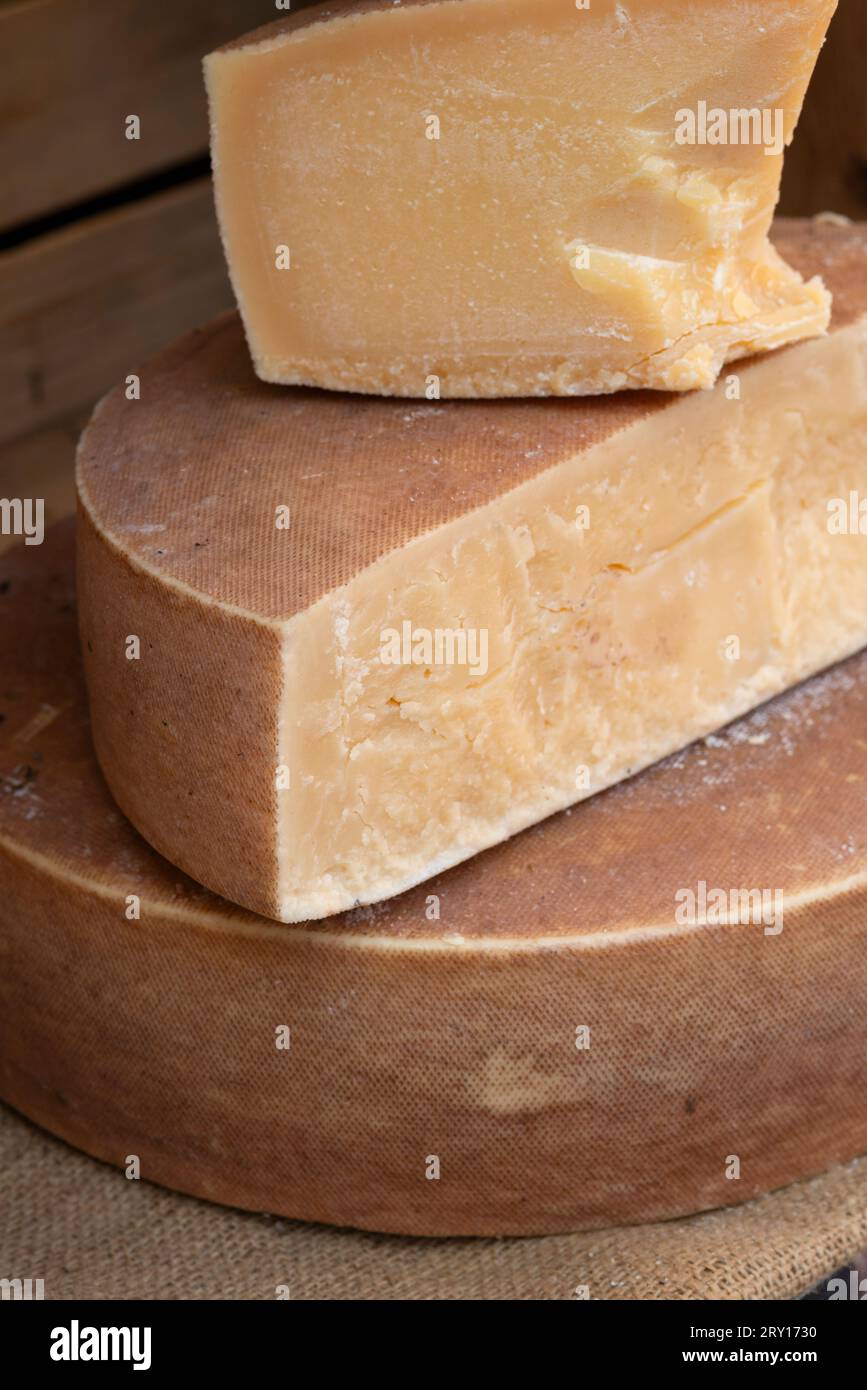 Italy, Street Food Market, Monte Mezzano Stravecchio Cheese Stock Photo ...