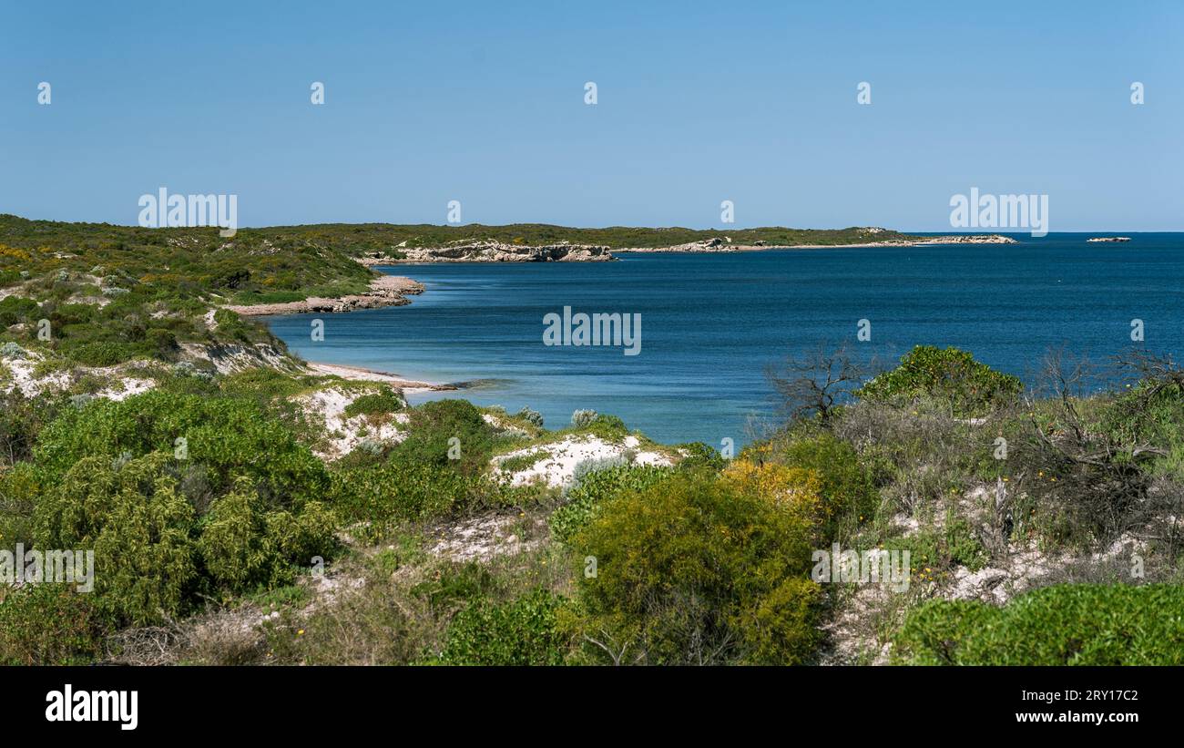 Ti tree hi-res stock photography and images - Alamy