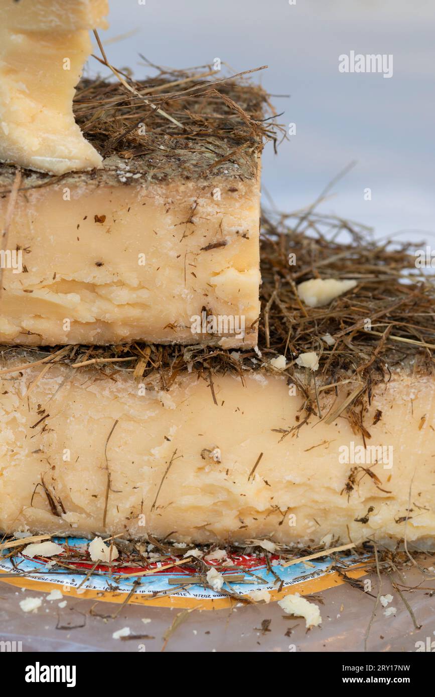 Italy, Street Food Market, Toma Cheese Matured in Hay Stock Photo - Alamy