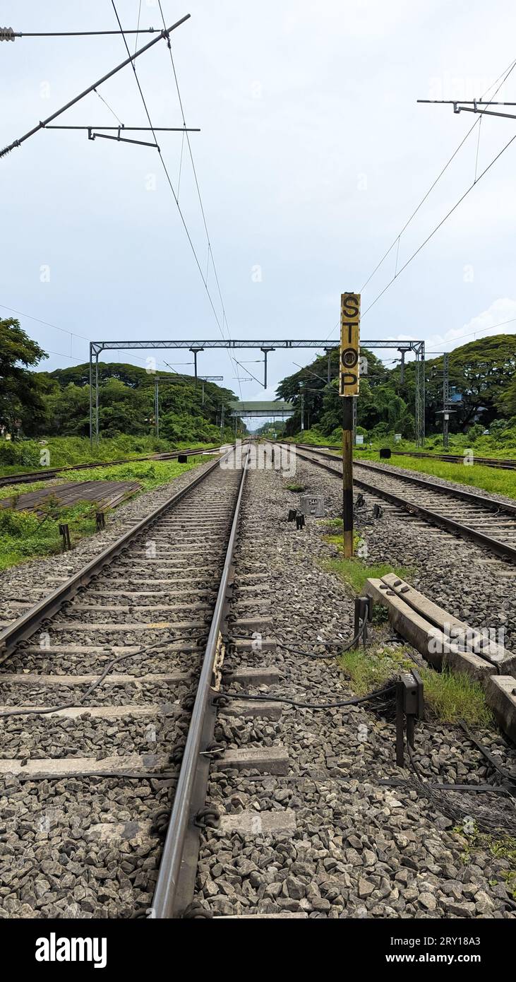 train railroad tracks in the countryside surrounded by greenery during ...