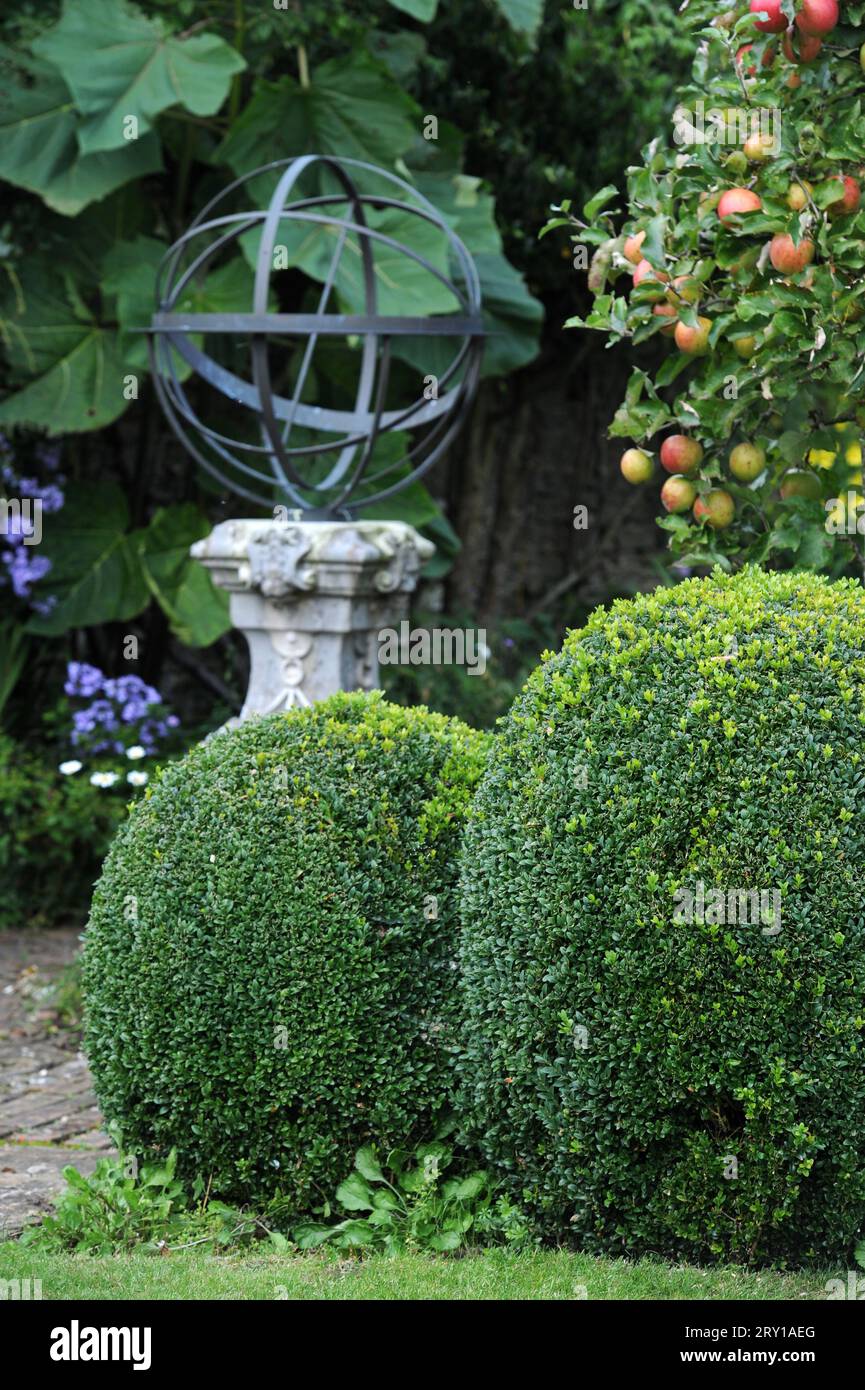 Sculpted Box bushes and a sundial Stock Photo - Alamy