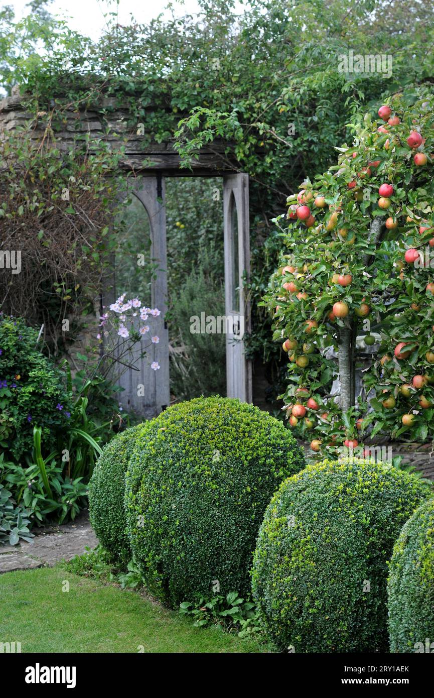 Topiary balls hi-res stock photography and images - Alamy