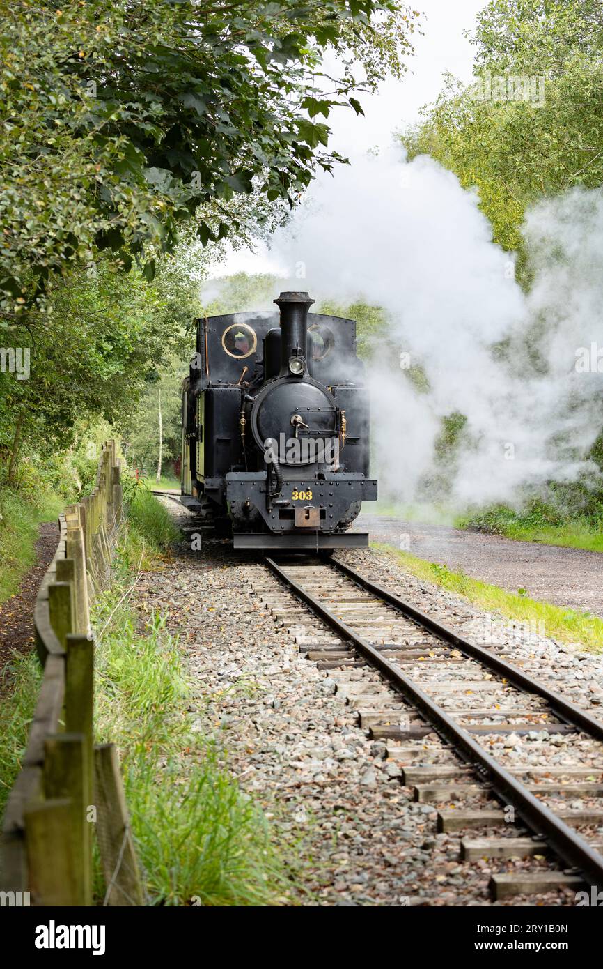 Steam train traveling along the railway line with steam bellowing out ...
